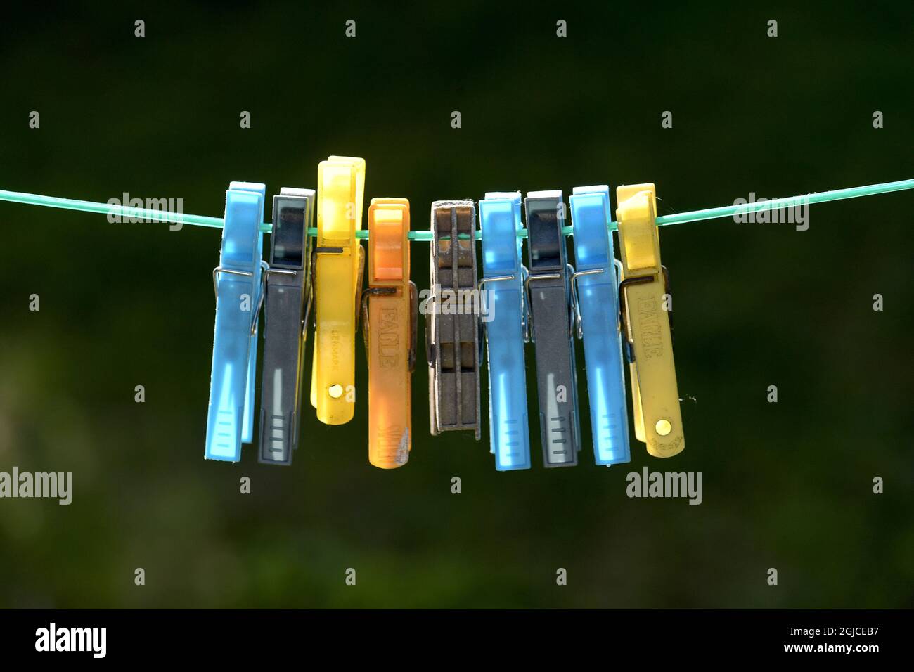 clothes peg washing line color Foto: Janerik Henriksson / TT / kod ...