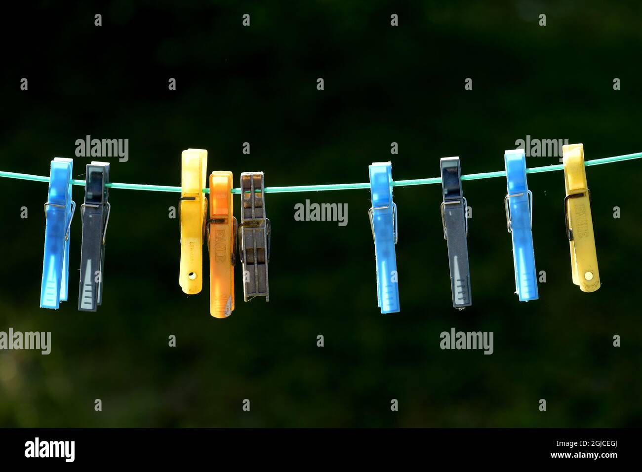 clothes peg washing line color Foto: Janerik Henriksson / TT / kod ...