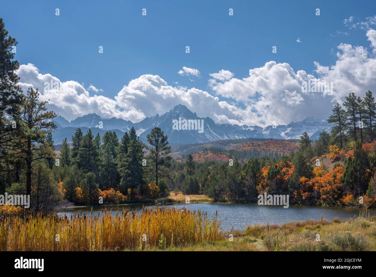 USA, Colorado, San Juan Mountains, Uncompahgre National Forest, Pond with autumn colored foliage ...