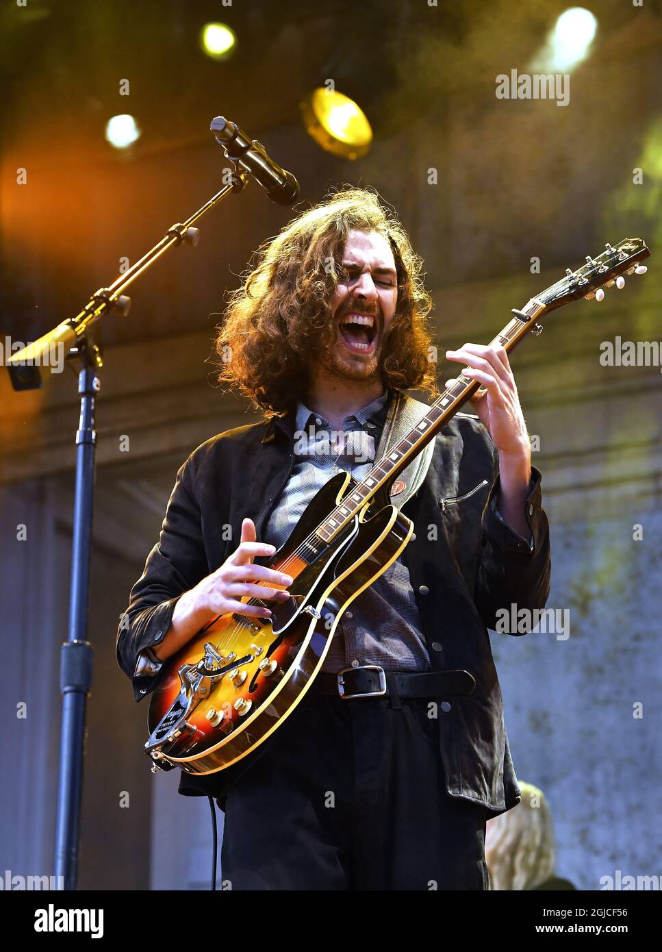 Hozier - Andrew Hozier-Byrne, in concert, Grona Lund, Stockholm, Sweden ...