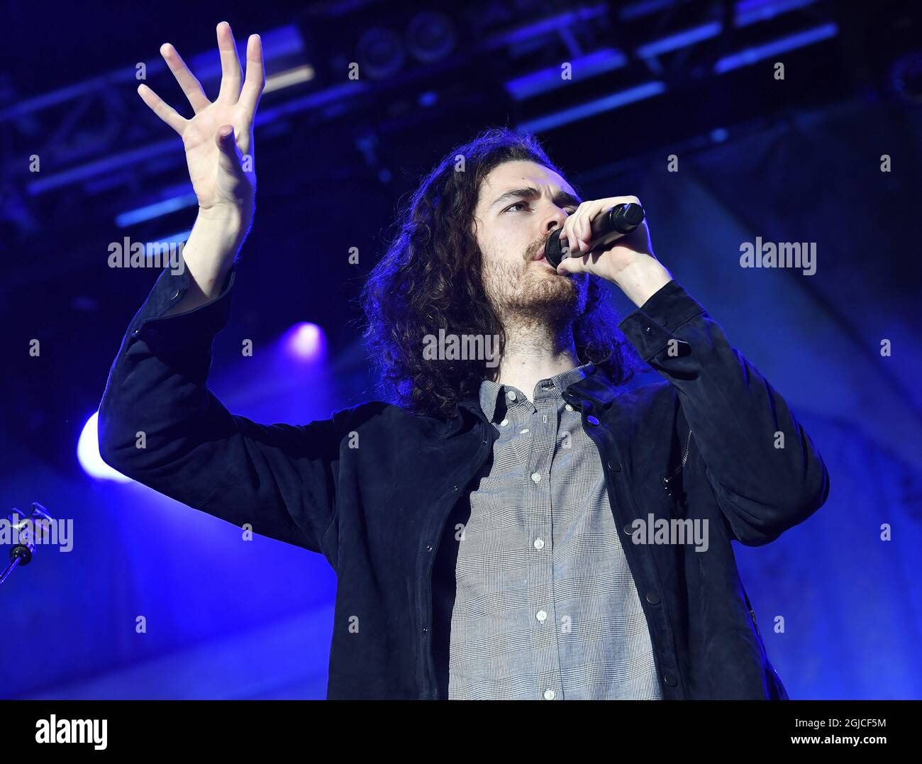 Hozier - Andrew Hozier-Byrne, in concert, Grona Lund, Stockholm, Sweden ...