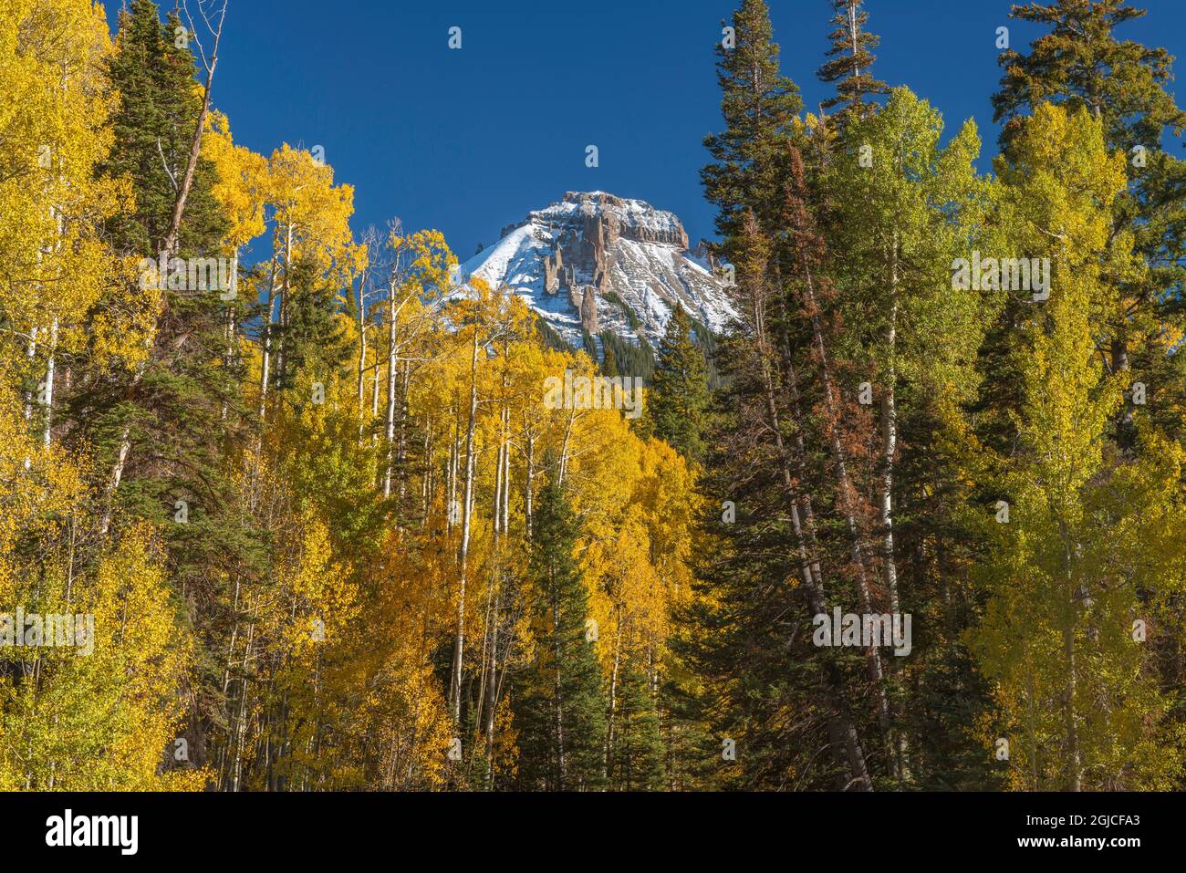 USA, Colorado, Uncompahgre National Forest, Dunsinane Mountain above ...