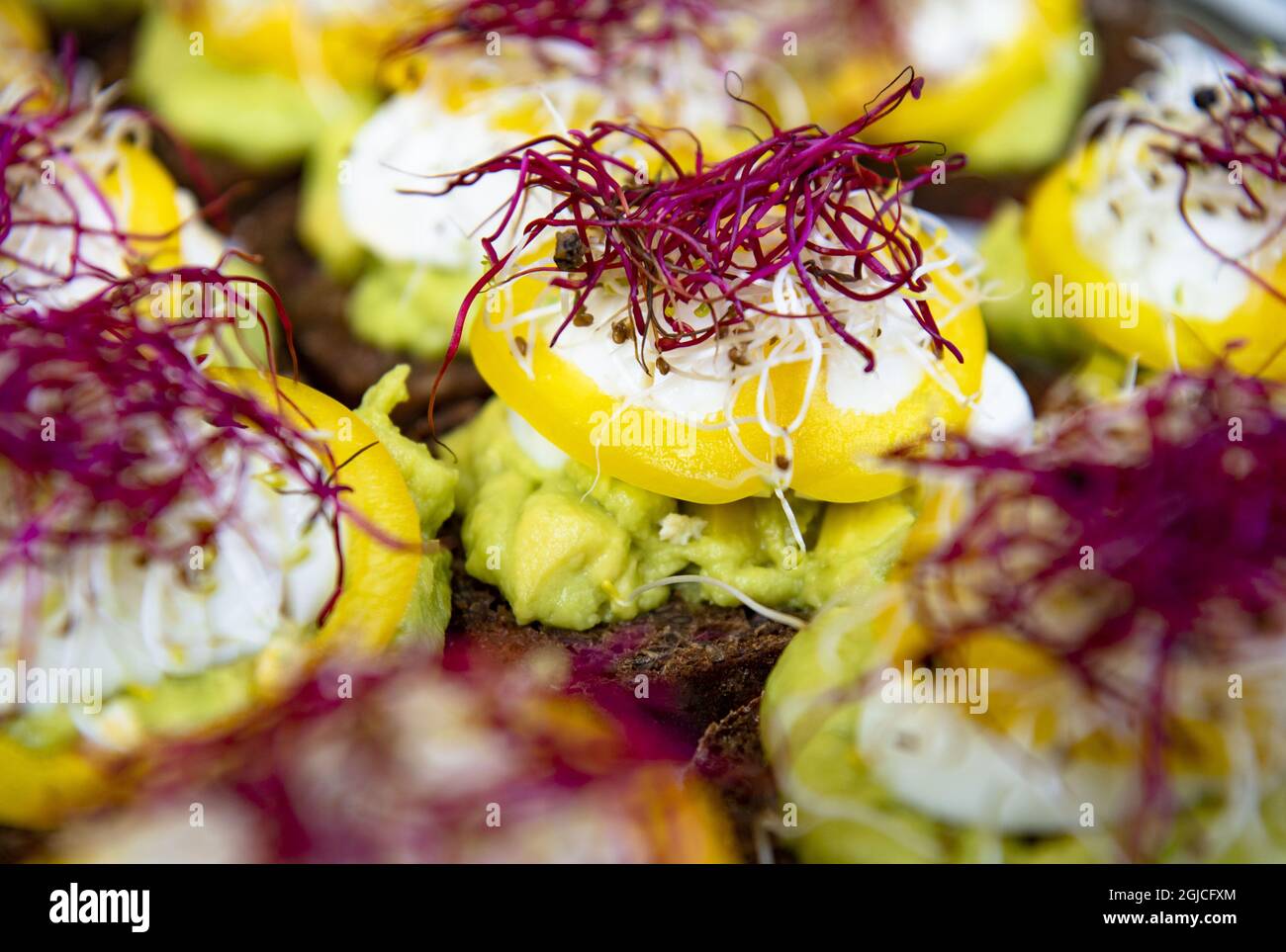 Michael mosley book hi-res stock photography and images - Alamy