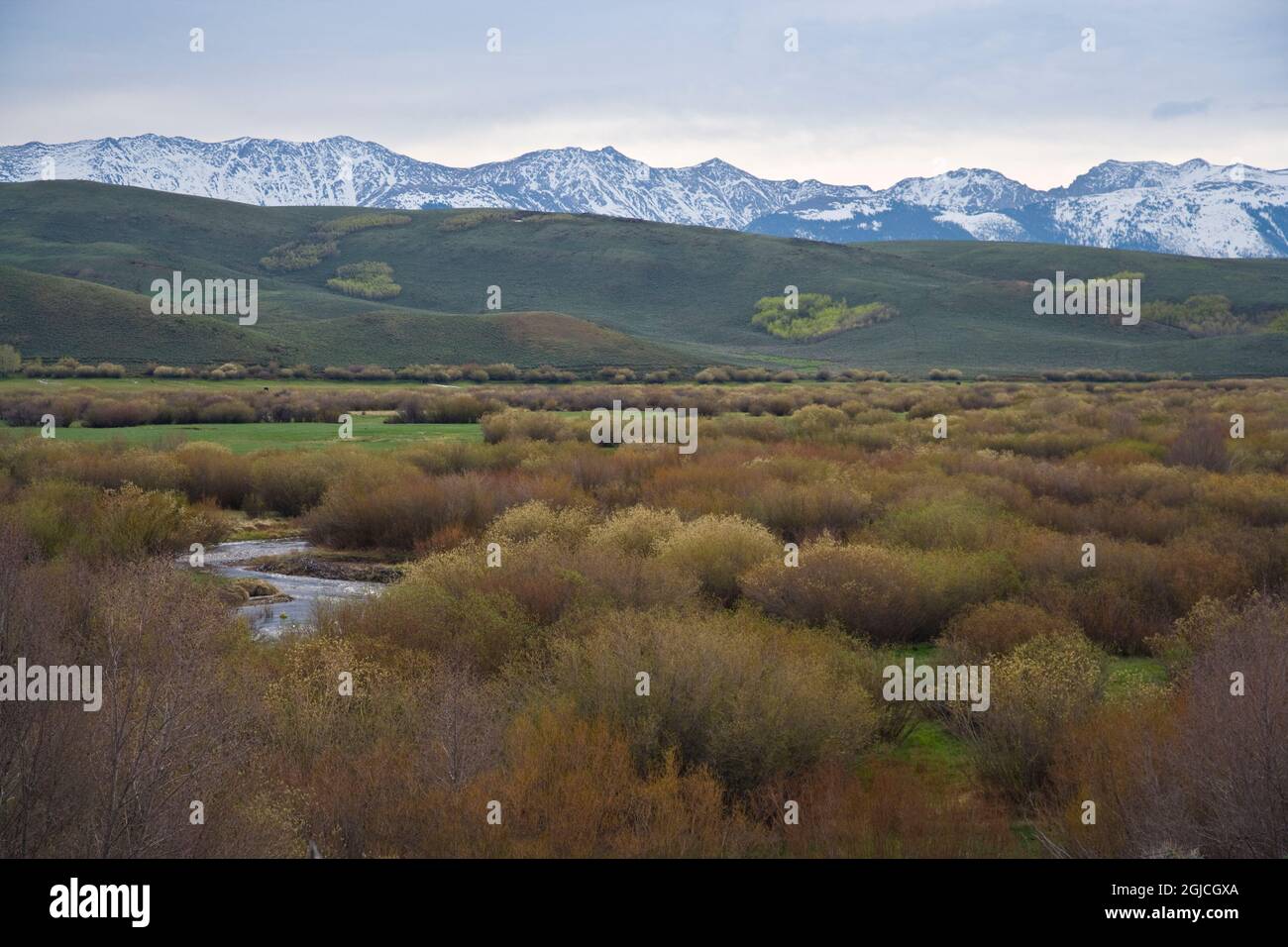 USA, Colorado. Willows and pastures line a river in bottom land with ...