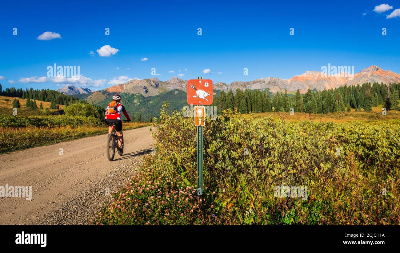 Mountain biker on the Galloping Goose Trail, Uncompahgre National ...