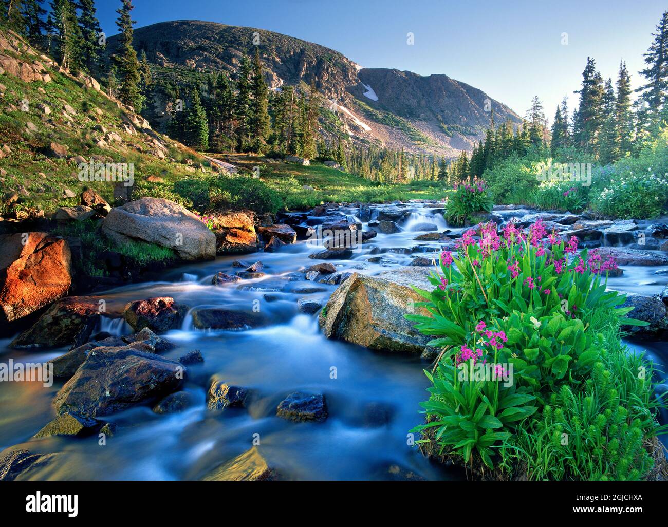 Rocky Mountain National Park Spring