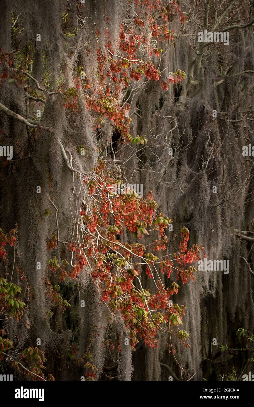 Circle bar b ranch hi-res stock photography and images - Alamy