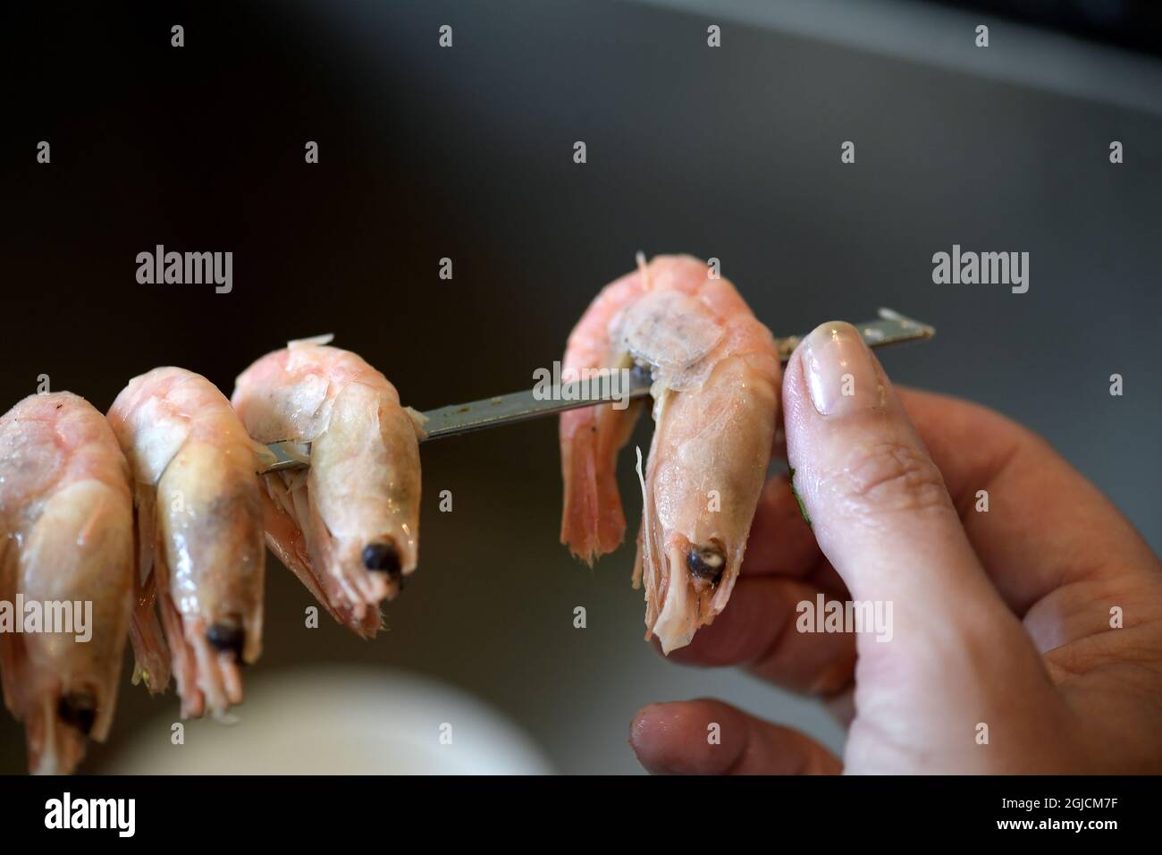 Grilled Shrimp Skewers with sriracha mayonnaise Foto: Janerik ...