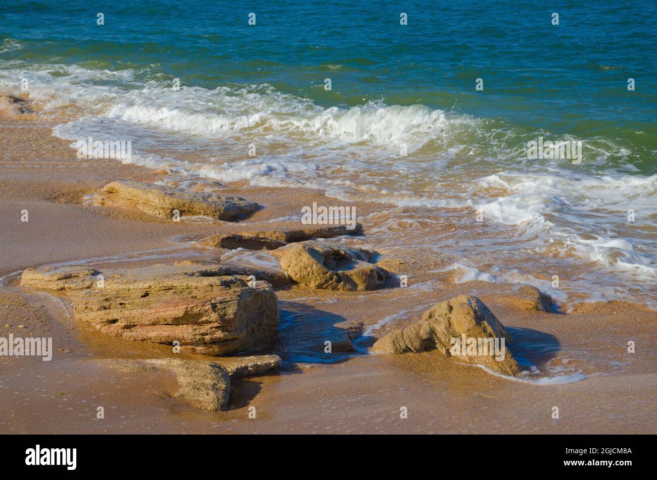 Coquina rock formations hi-res stock photography and images - Alamy