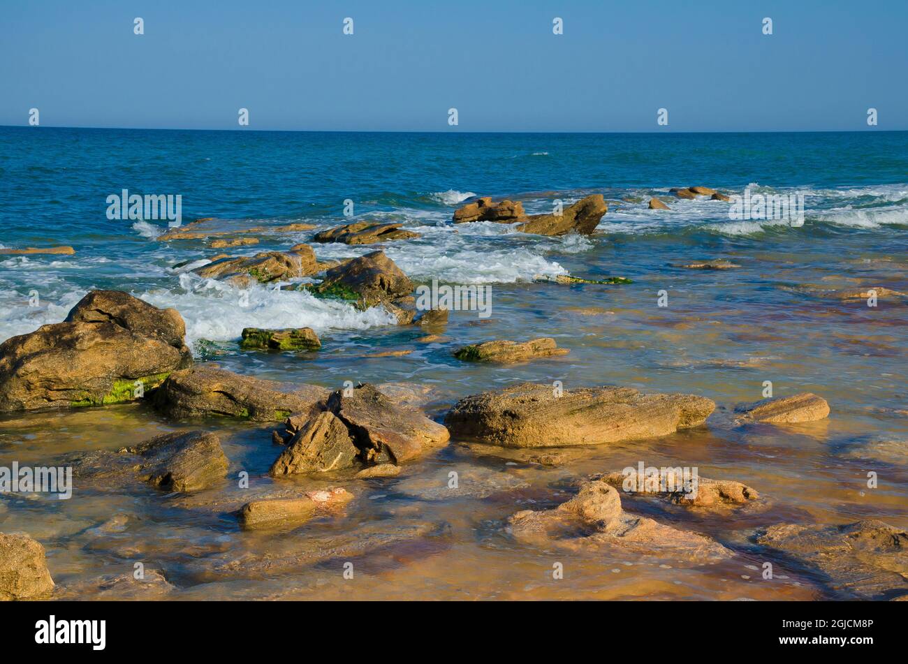 Coquina rock formations hi-res stock photography and images - Alamy