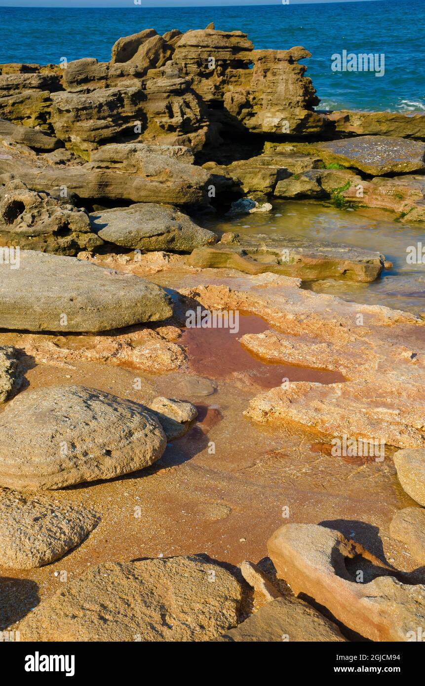 USA, Florida. Coquina rock formations on Atlantic Ocean beach Stock ...