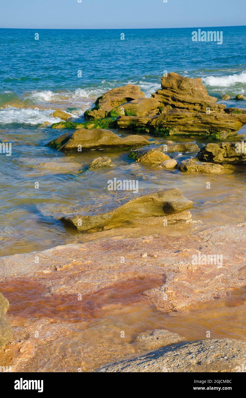 Coquina rock formations hi-res stock photography and images - Alamy