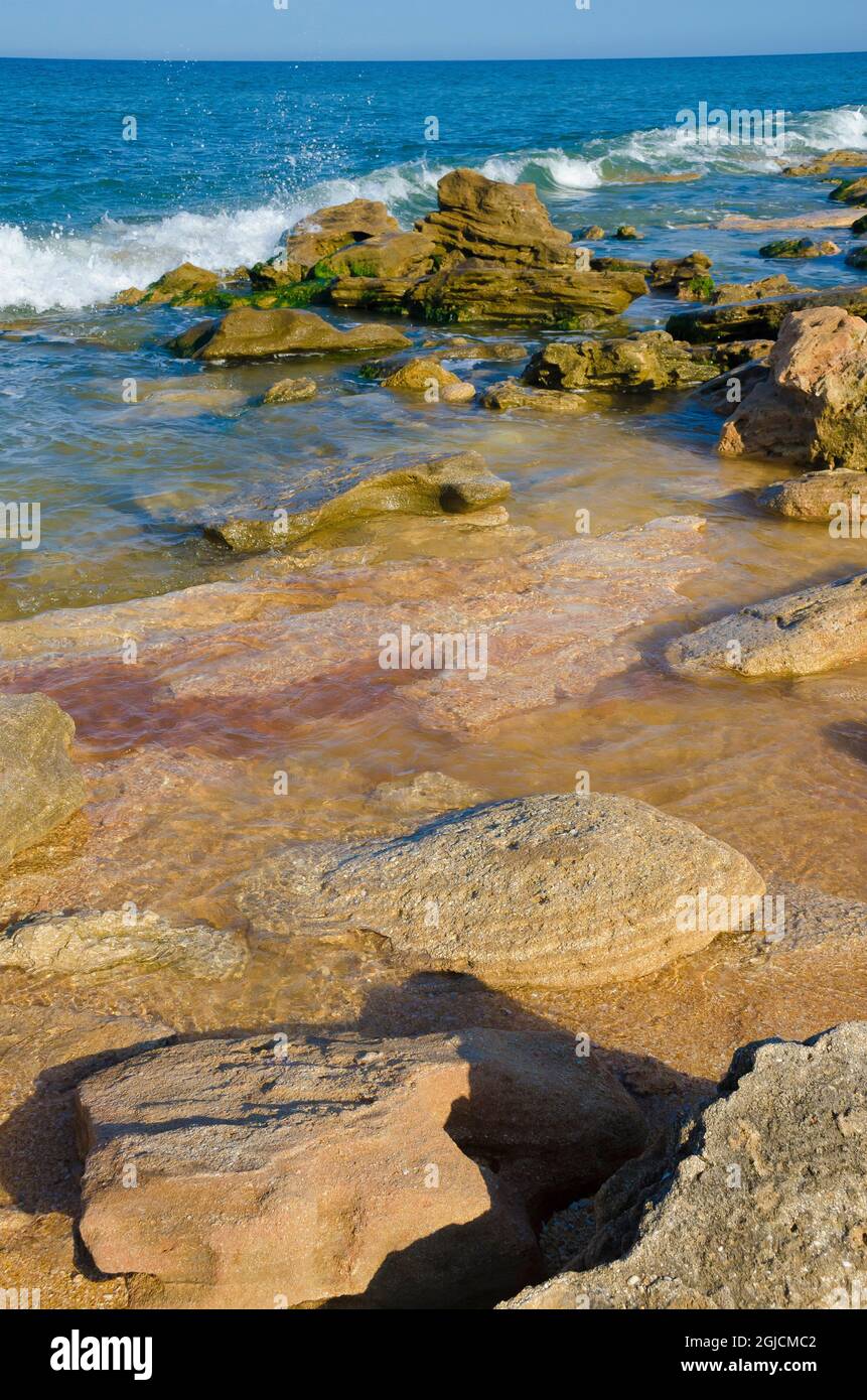 USA, Florida. Coquina rock formations on Atlantic Ocean beach Stock ...