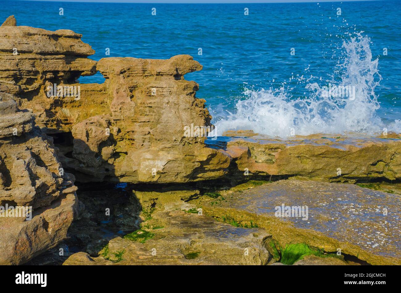Coquina rock formations hi-res stock photography and images - Alamy