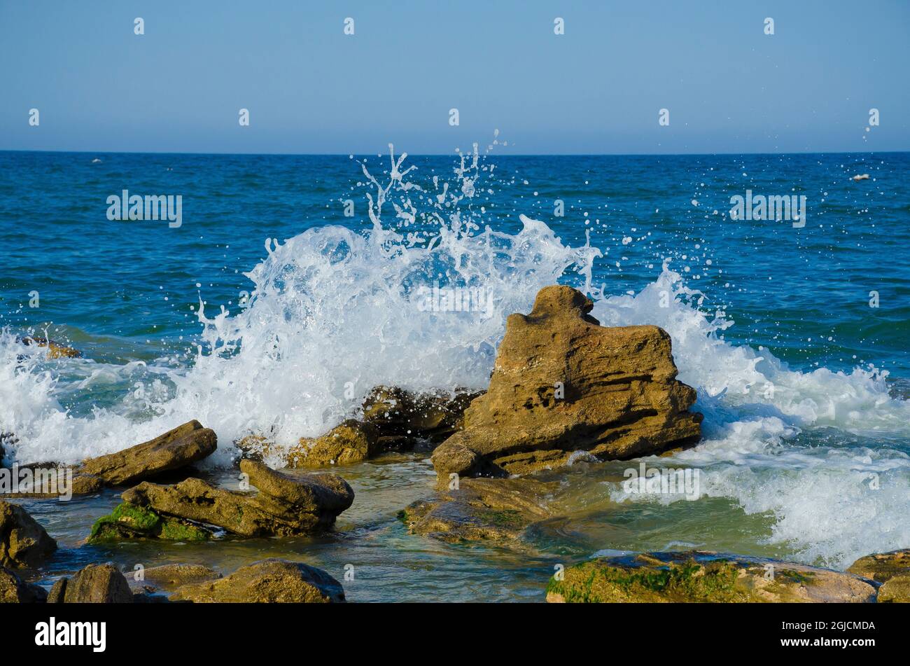 Coquina rock formations hi-res stock photography and images - Alamy
