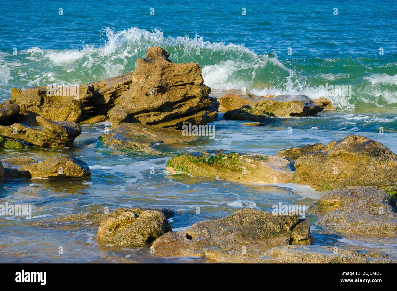 USA, Florida. Coquina rock formations on Atlantic Ocean beach Stock ...