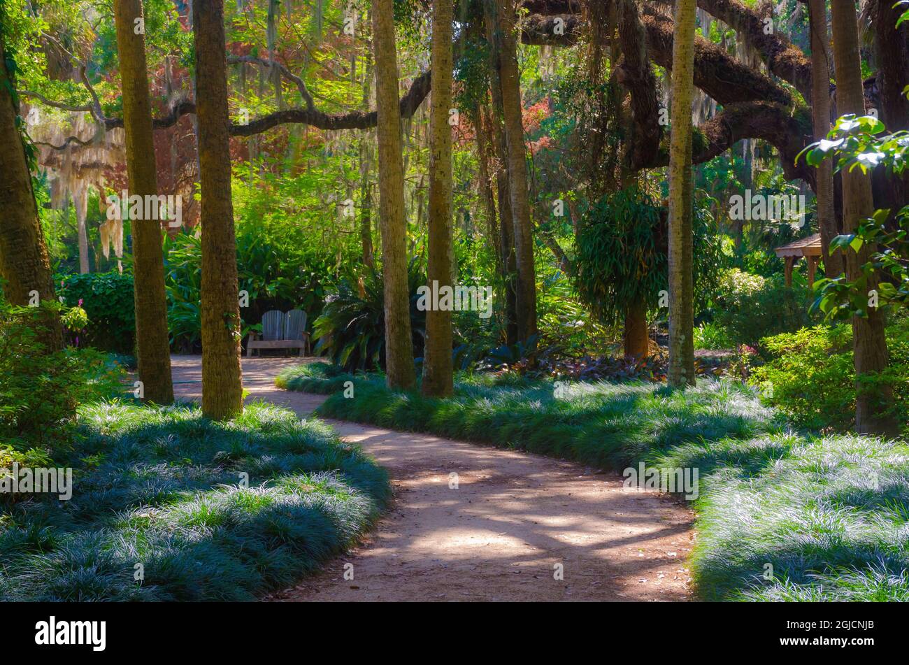 Washington oaks park hi-res stock photography and images - Alamy