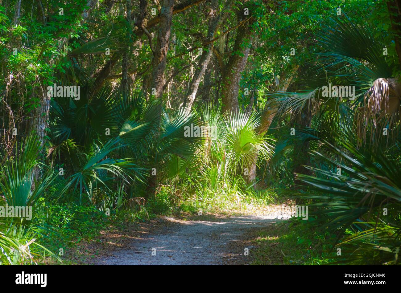 Florida, Tropical Garden Path Stock Photo - Alamy