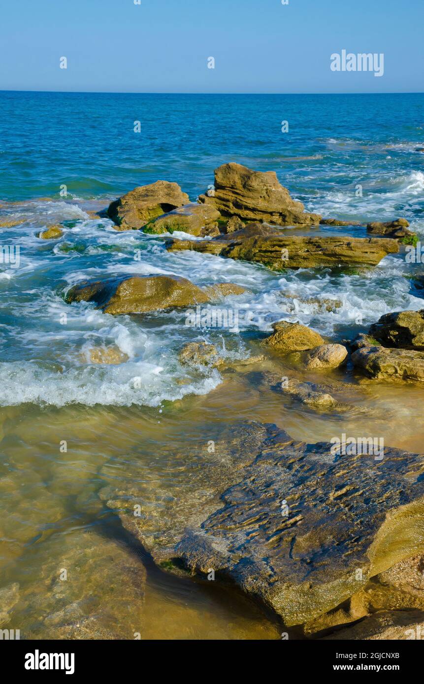 Coquina rock formations hi-res stock photography and images - Alamy
