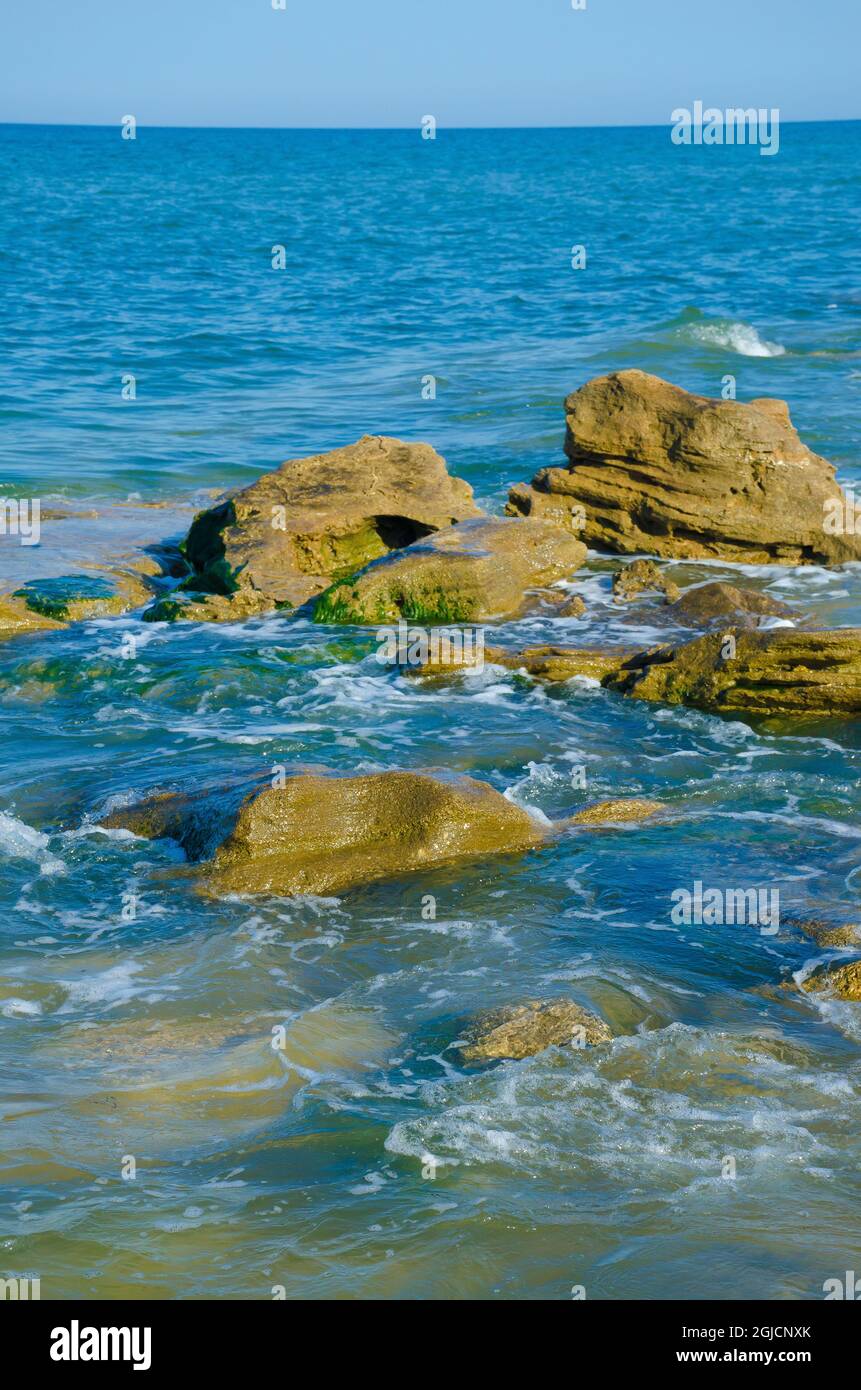 Coquina rock hi-res stock photography and images - Alamy