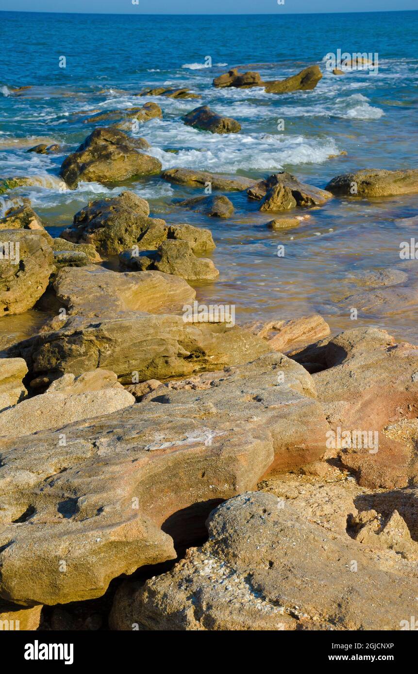 Florida, Coquina Rock Formations on Atlantic Ocean Beach Stock Photo ...