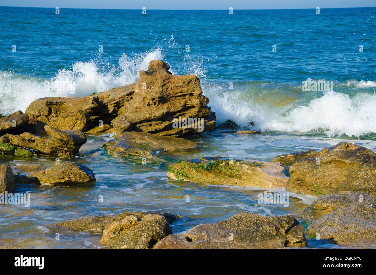 Florida, Coquina Rock Formations on Atlantic Ocean Beach Stock Photo ...