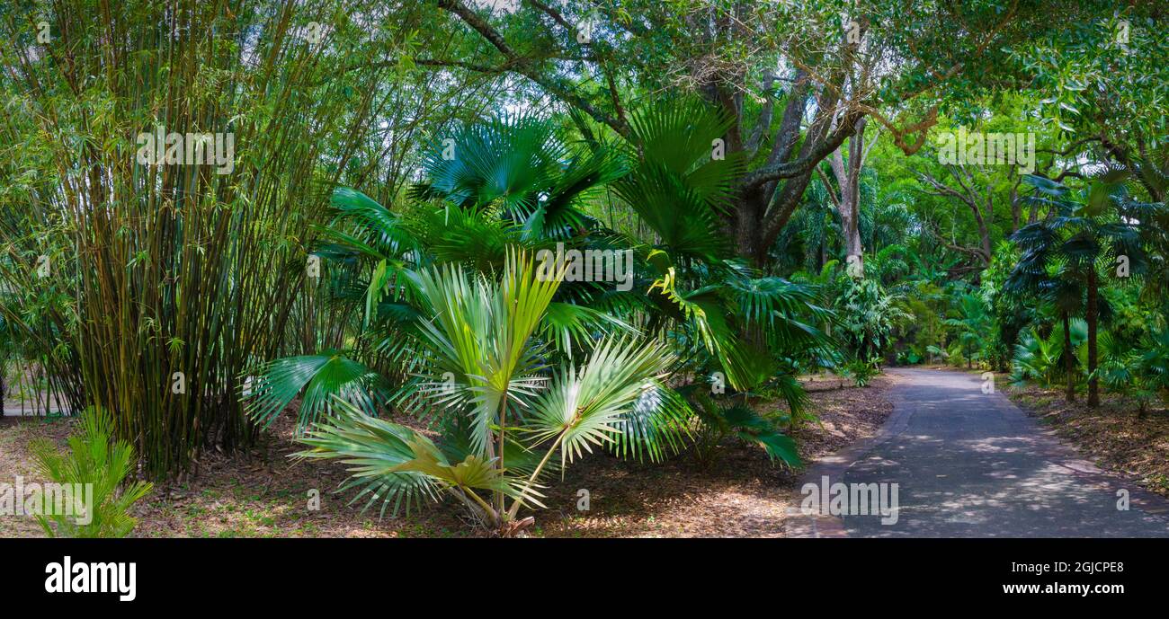 Florida, Tropical Garden Path Stock Photo - Alamy