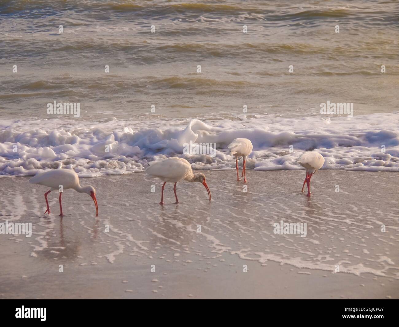 Wading in the surf hi-res stock photography and images - Alamy