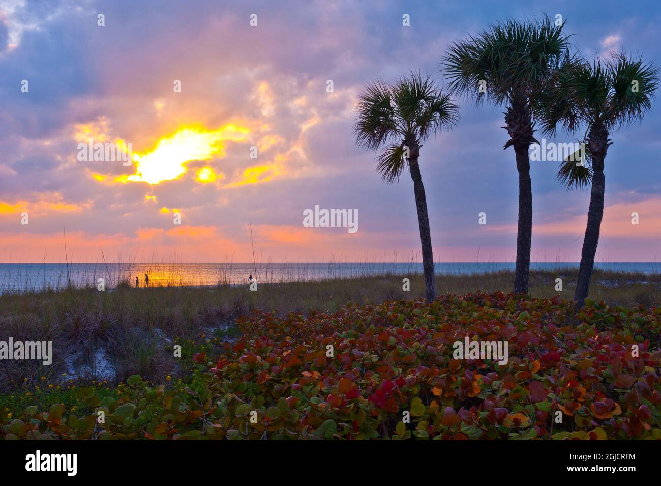 USA, Florida, Crescent Beach, Siesta Key, Sarasota, Seascape, Sunset ...
