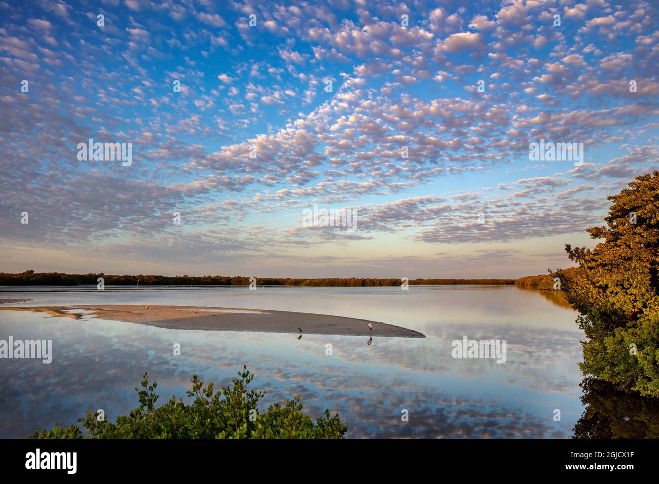 Sunrise clouds over ponds at Ding Darling National Wildlife Refuge in ...