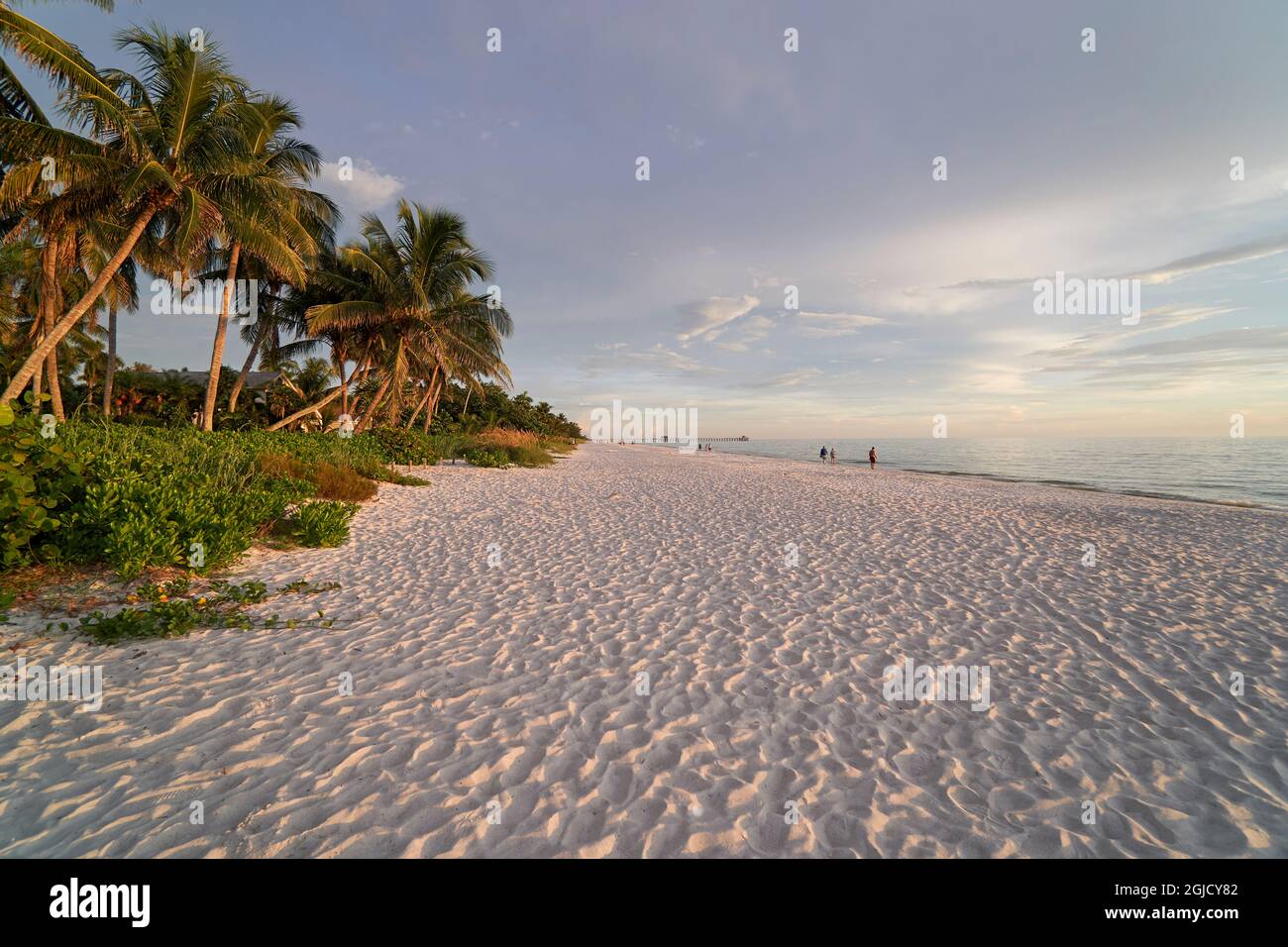 USA, Florida, Naples, Naples Beach. Naples is one of the wealthiest ...