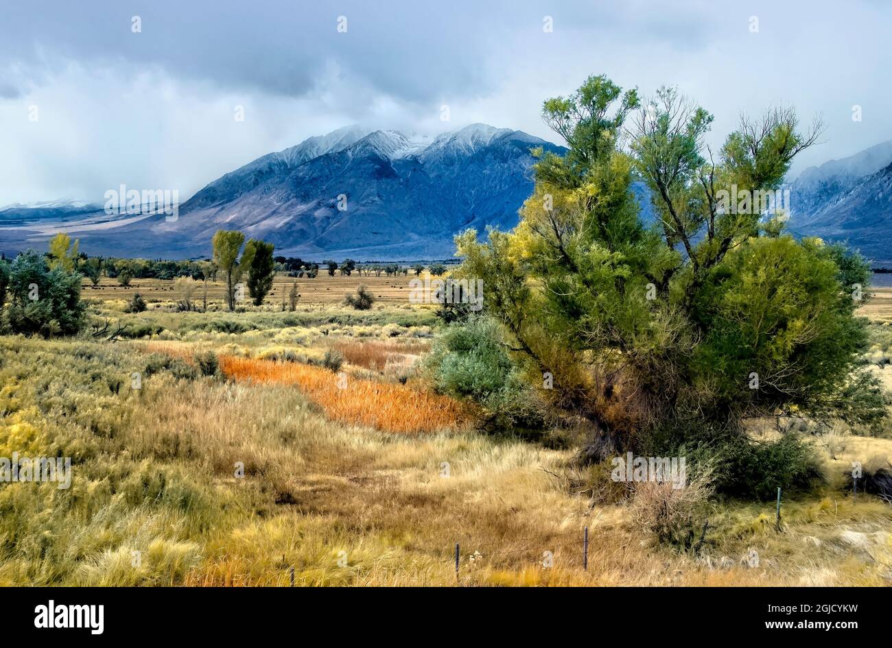 Mt. Tom seen from across Paradise Valley, CA Stock Photo - Alamy