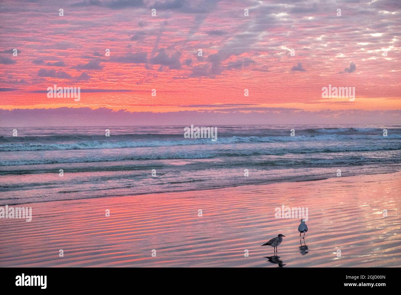 Florida Sunrise