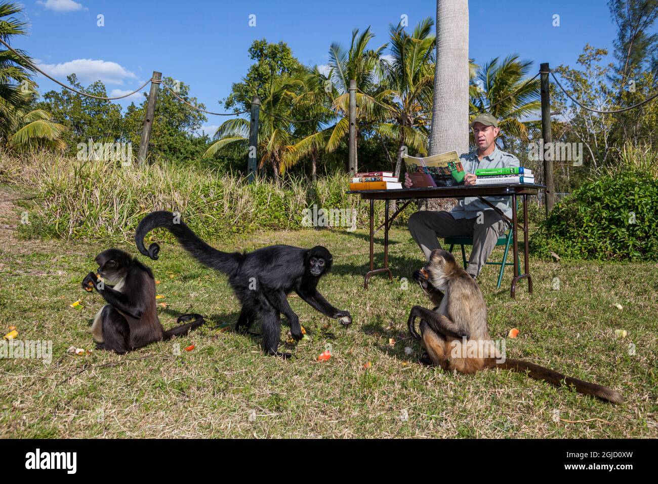 David Tetzlaff, former Executive Director of the Naples Zoo, at work ...