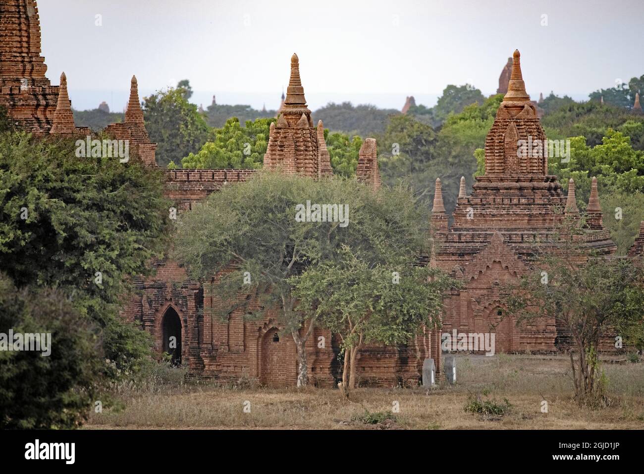 273414296 hi-res stock photography and images - Alamy