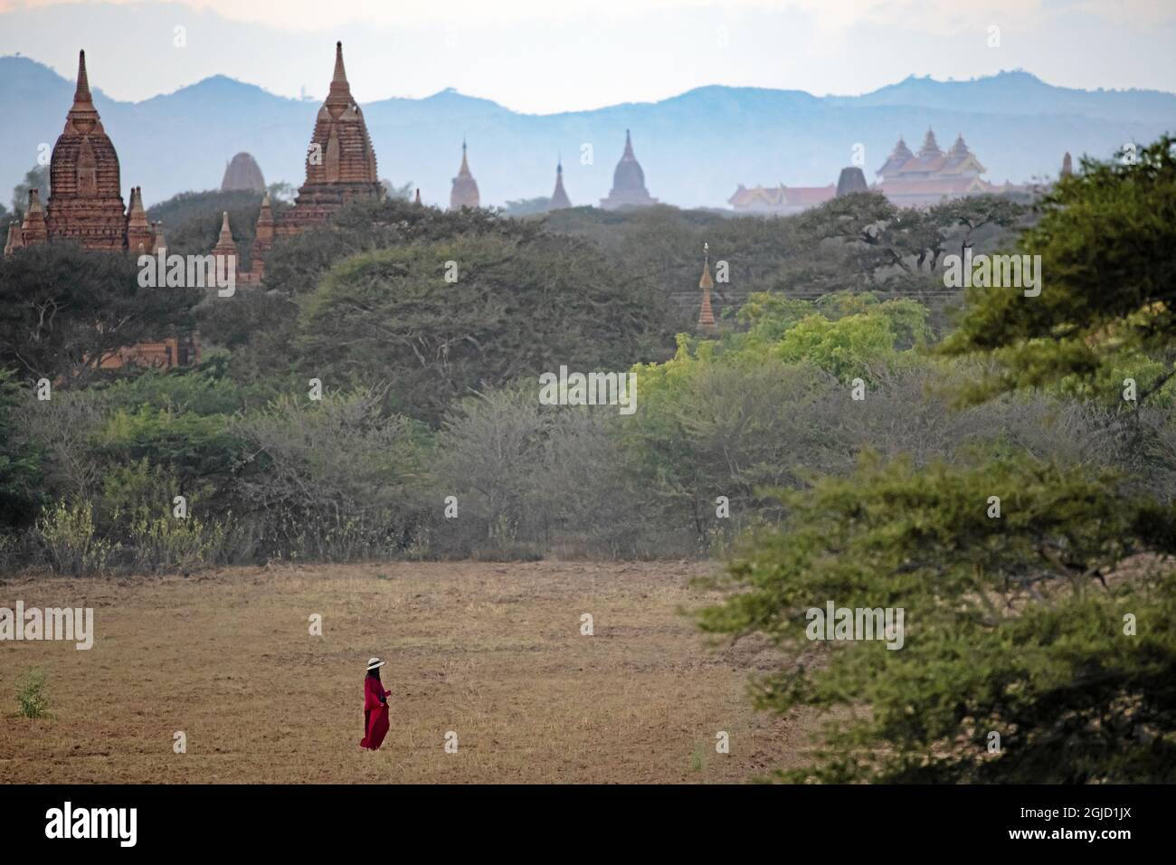 273414296 hi-res stock photography and images - Alamy