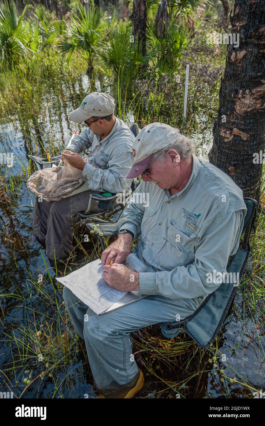 Biological researchers conduct their work in the field. (MR Stock Photo ...