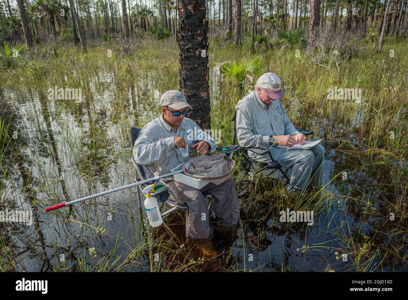 Biological researchers conduct their work in the field. (MR Stock Photo ...