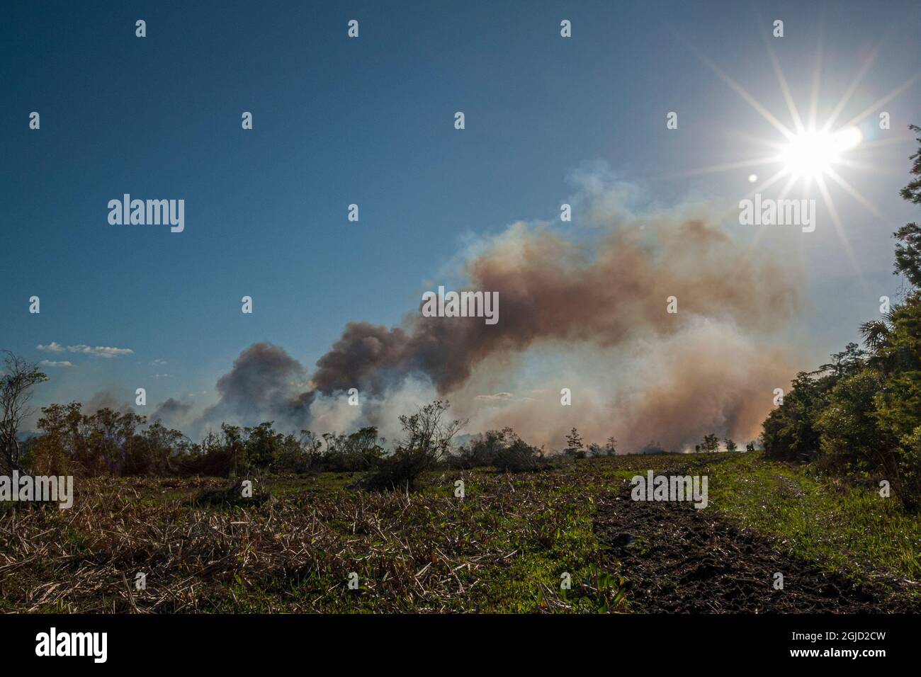 Prescribed fire hi-res stock photography and images - Alamy