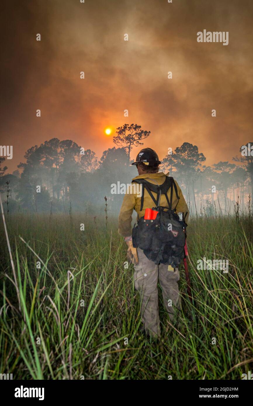 A firefighter stands watch for embers crossing a firebreak Stock Photo ...