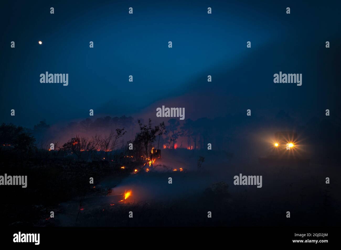 Forest fire at night Stock Photo - Alamy