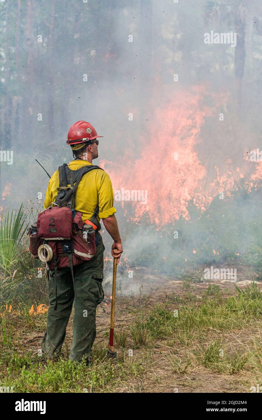 A firefighter stands watch for embers crossing a firebreak Stock Photo ...