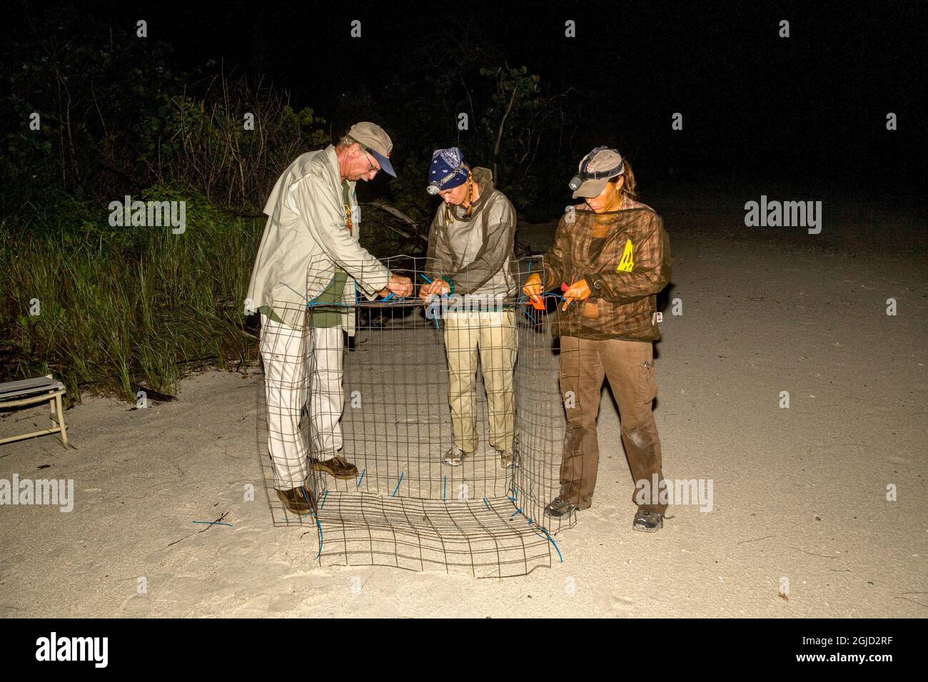 Researchers construct gage to keep predators out of loggerhead sea ...