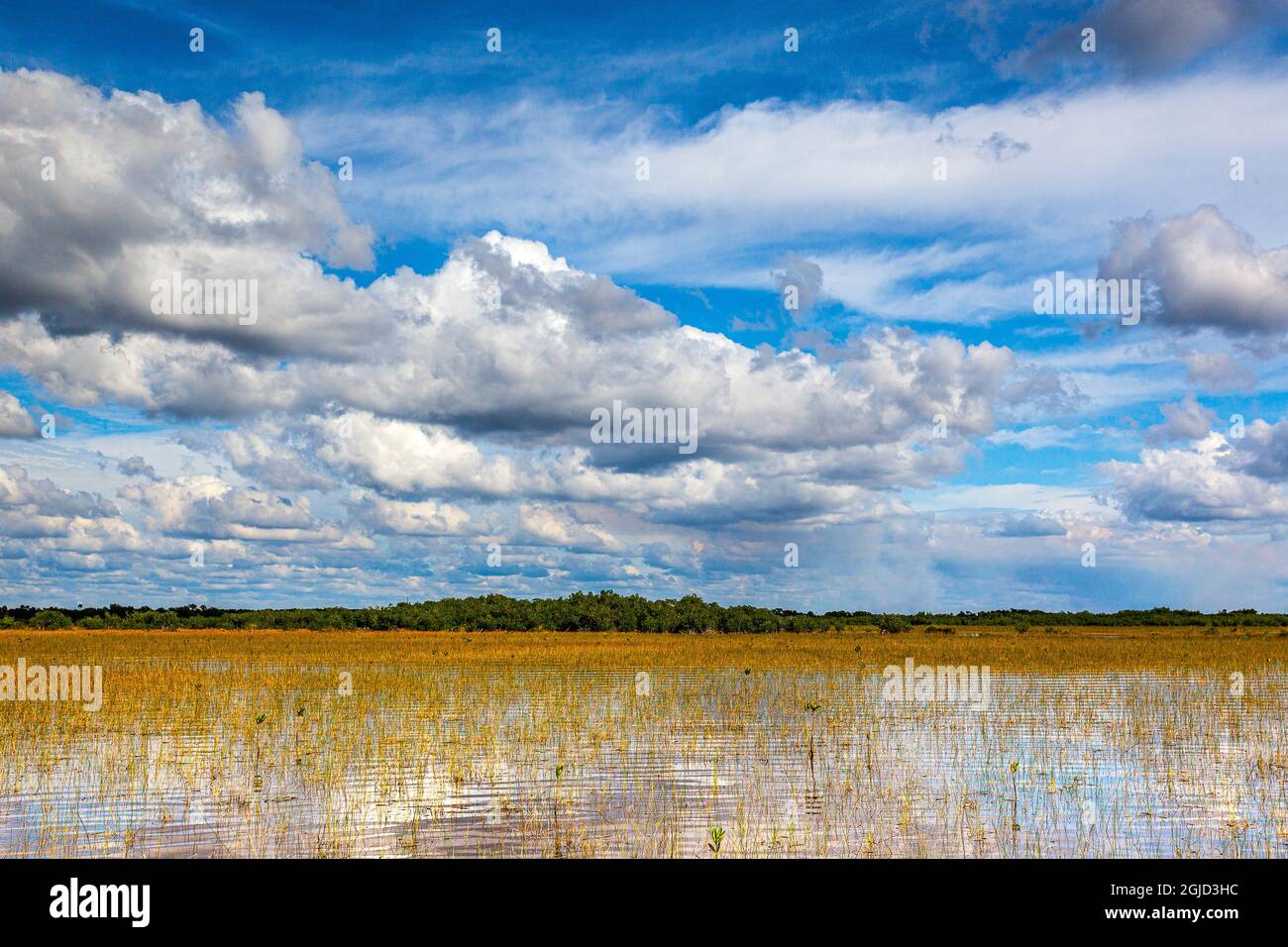 Southwest coastal florida hi-res stock photography and images - Alamy