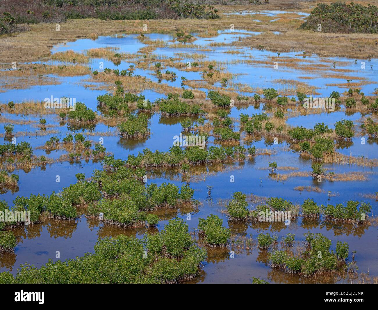 An aerial view of the southwestern Florida coastal marshes and mangrove ...