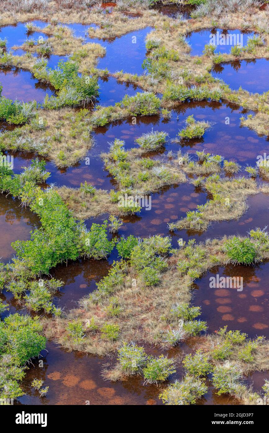 An aerial view of the southwestern Florida coastal marshes and mangrove ...