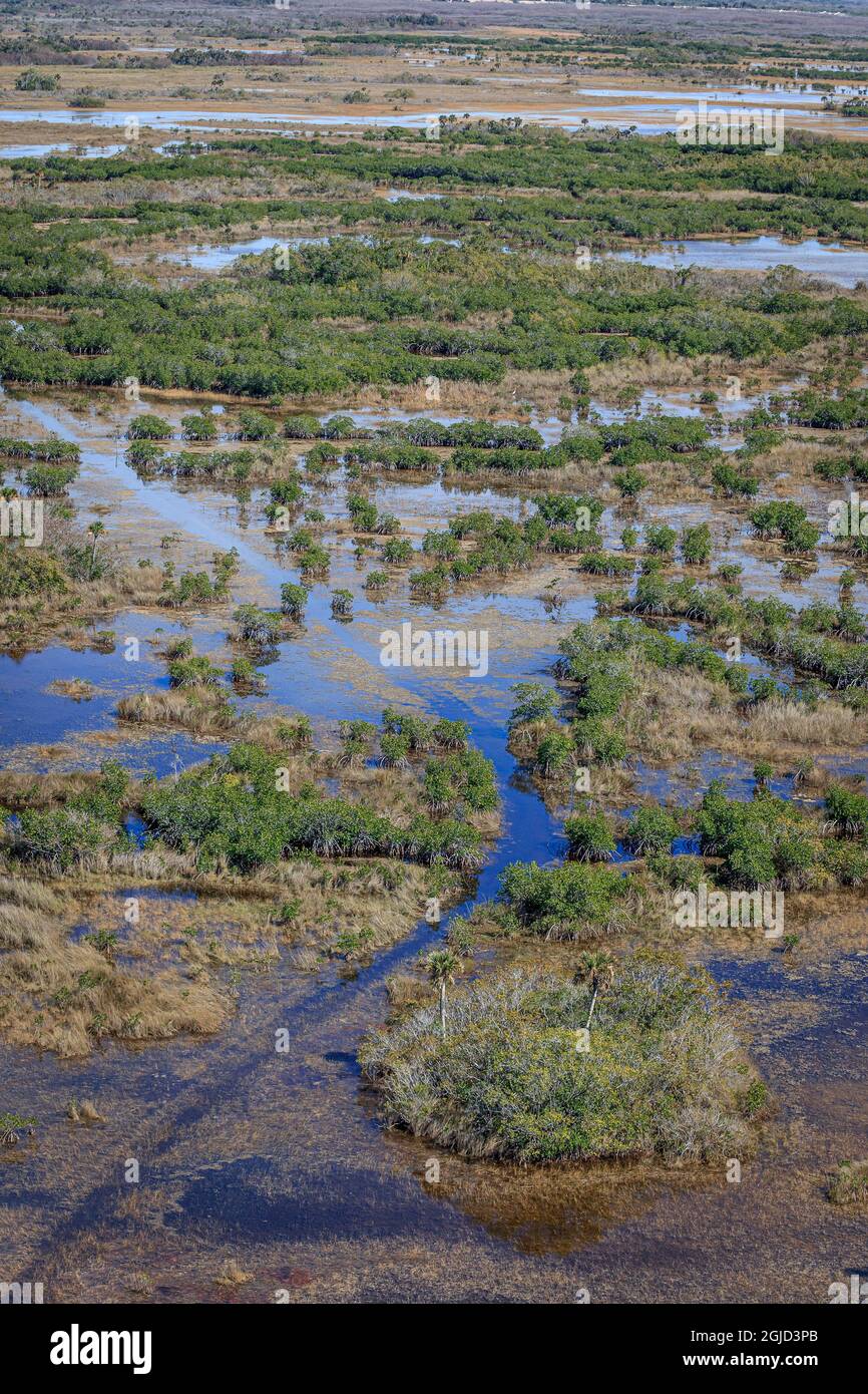 An aerial view of the southwestern Florida coastal marshes and mangrove ...