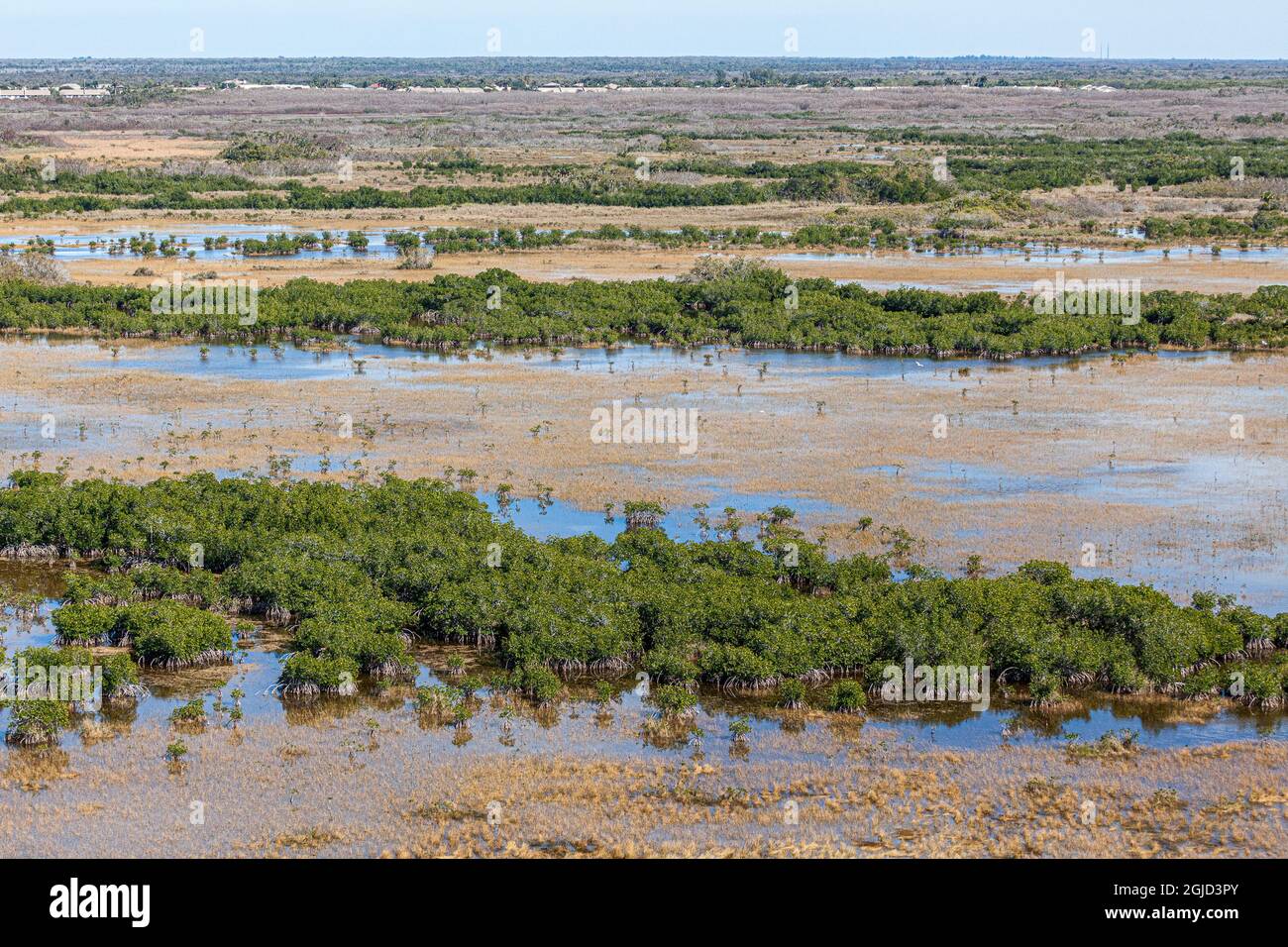 An aerial view of the southwestern Florida coastal marshes and mangrove ...