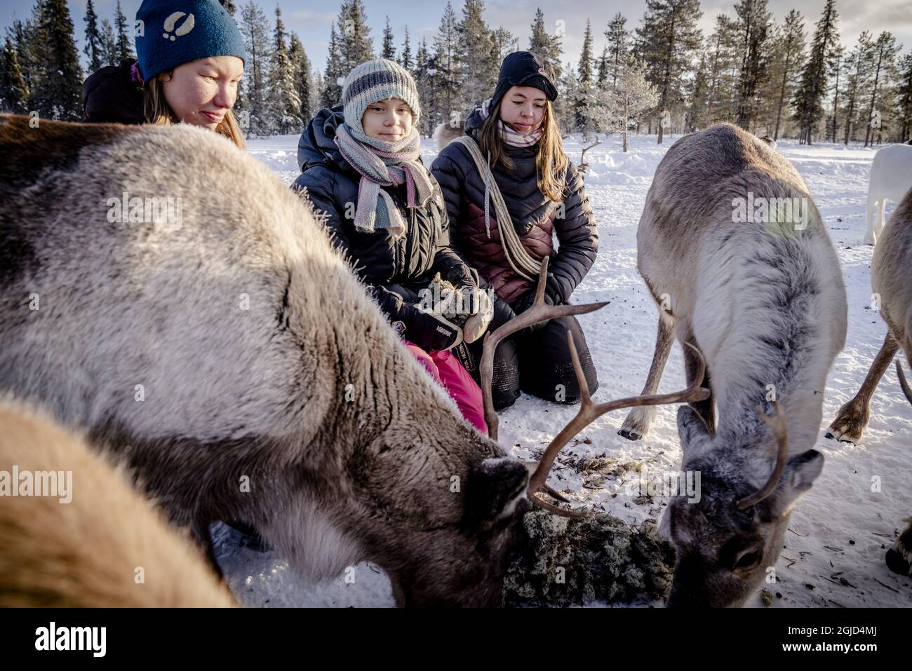 20200205 hi-res stock photography and images - Alamy