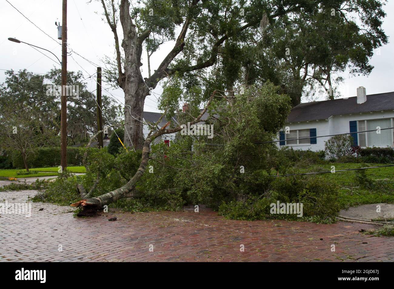 Hurricane Irma damage in historic downtown Lake Eola Heights, Orlando ...